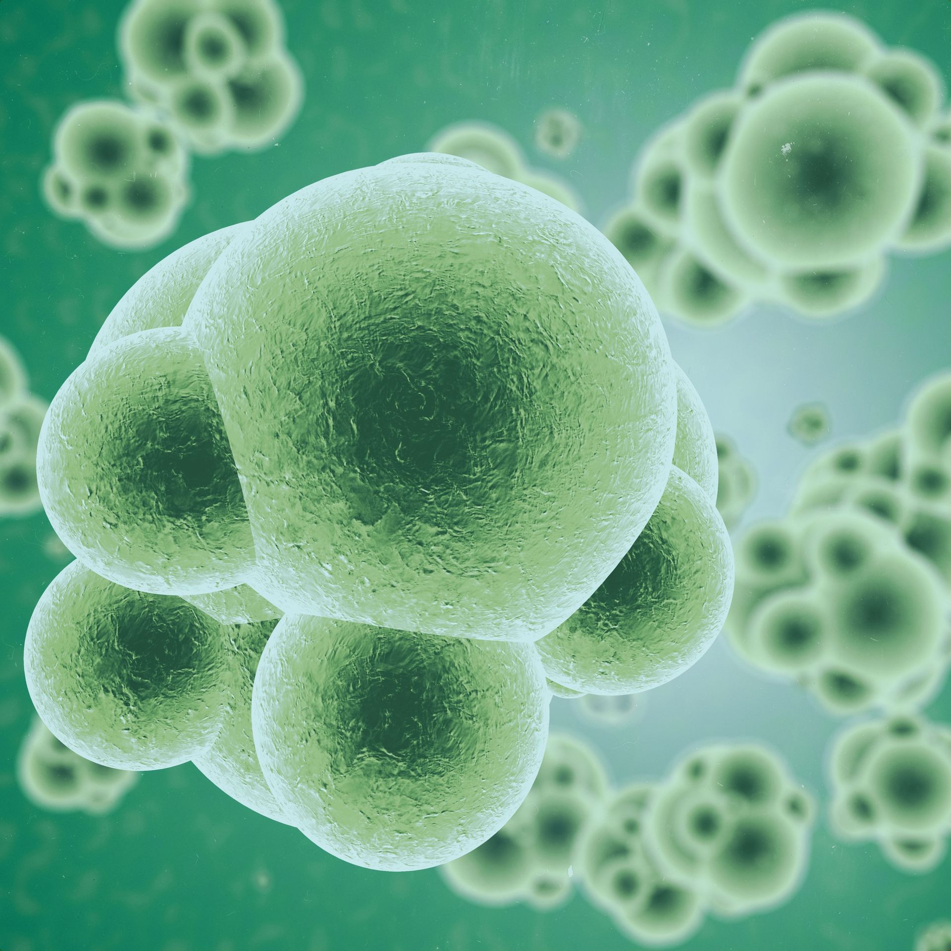 Unlock Practitioner Benefits with EB Supplements | Clinically Research