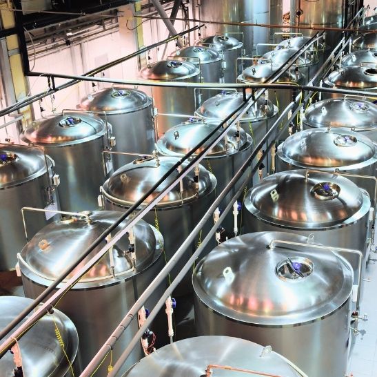 About us - The EB Supplements Team