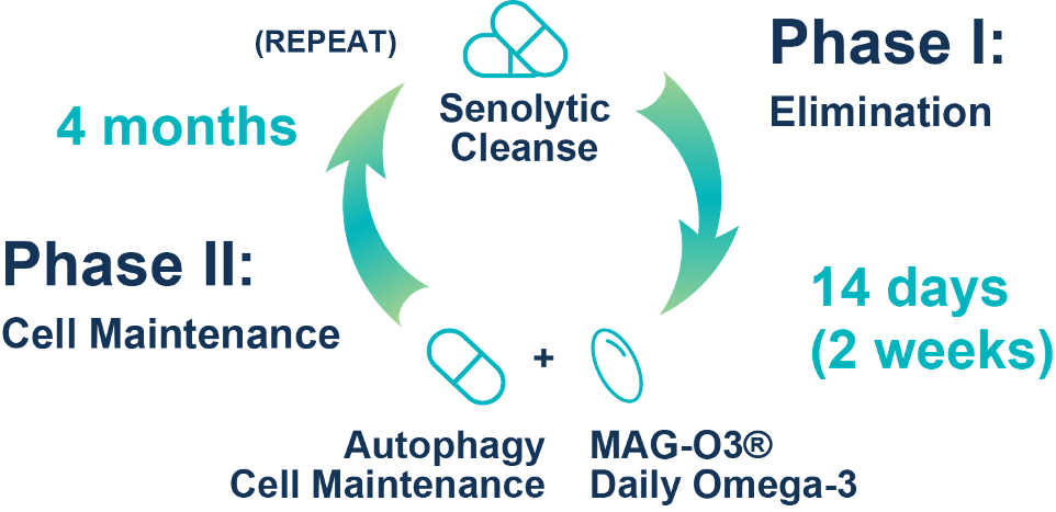 Patent Pending Healthy Aging Senolytic Program